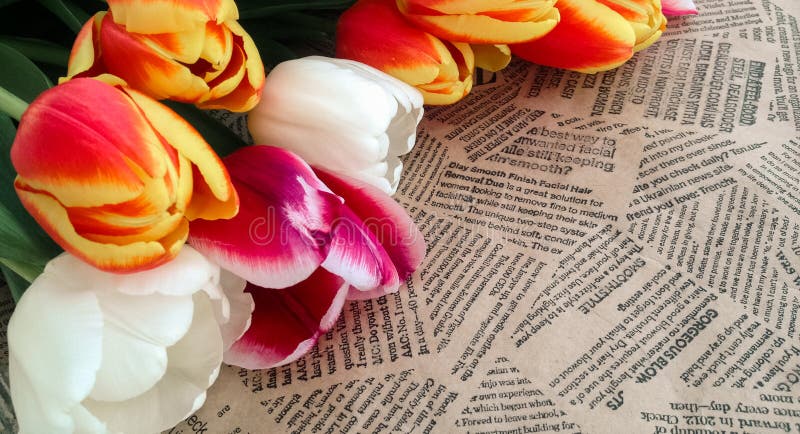 Tulips Flowers Bunch on Vintage Newspaper Background Stock Photo ...