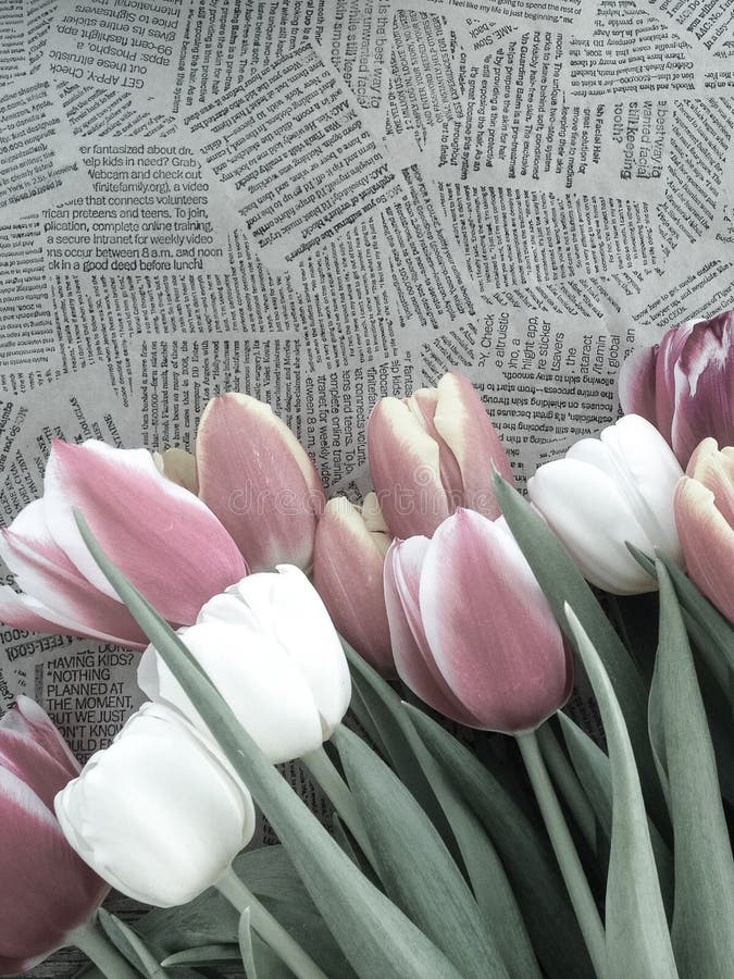 Tulips Flowers Bunch on Vintage Newspaper Background Stock Image ...