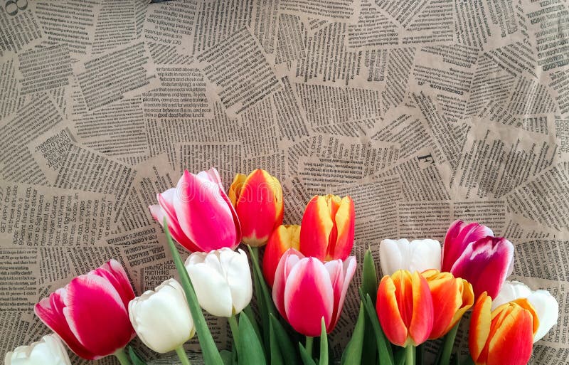 Tulips Flowers Bunch on Vintage Newspaper Background Stock Image ...