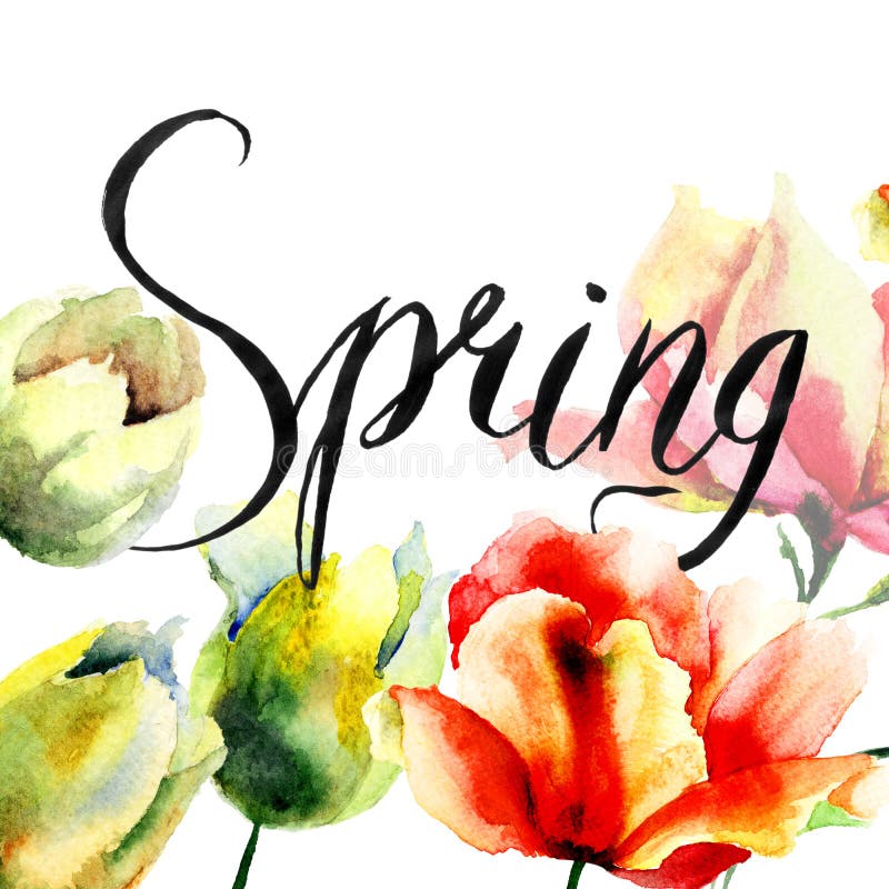 Tulips Flowers and Title Spring Stock Illustration - Illustration of ...