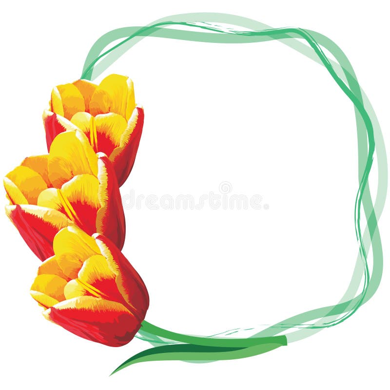 Tulips frame stock vector. Illustration of beautiful - 29635770