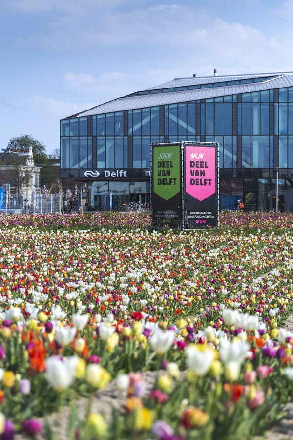 Tulips in Front of Station Building in Delft on a Bright Sunny Day ...