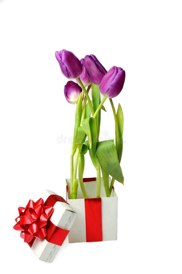 Tulips and gift box stock image. Image of stem, bunch - 13292739