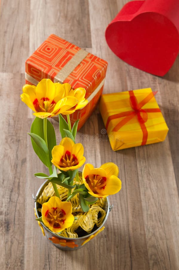 Tulips and gift boxes stock photo. Image of birthday - 23819036