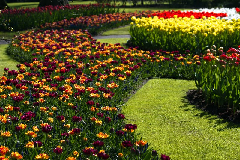 Wonderful Blooming Spring Garden in April Stock Photo - Image of ...