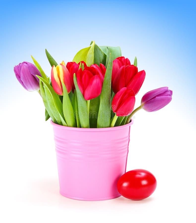 Tulips in Pink Bucket and Red Easter Egg Stock Photo - Image of symbol ...