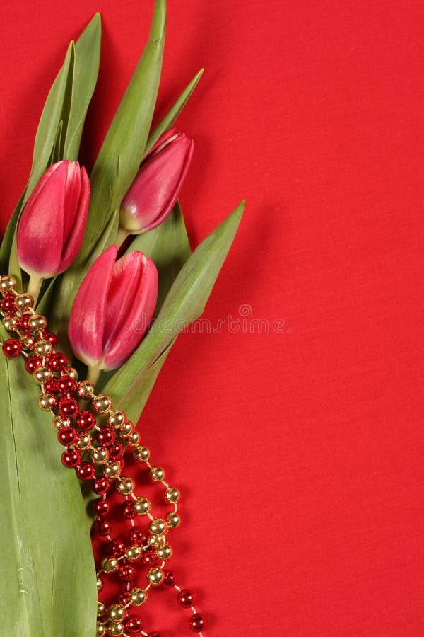 Tulips on red stock image. Image of april, holiday, large - 18124095