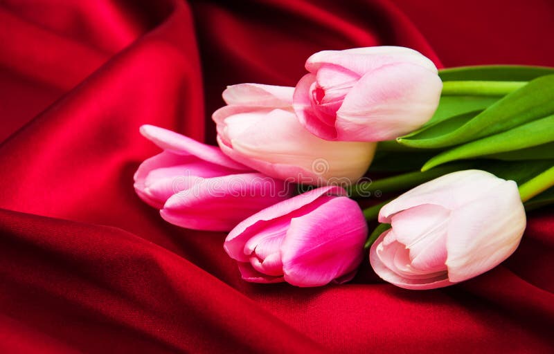 Tulips on a red silk stock photo. Image of birthday, bright - 52056252