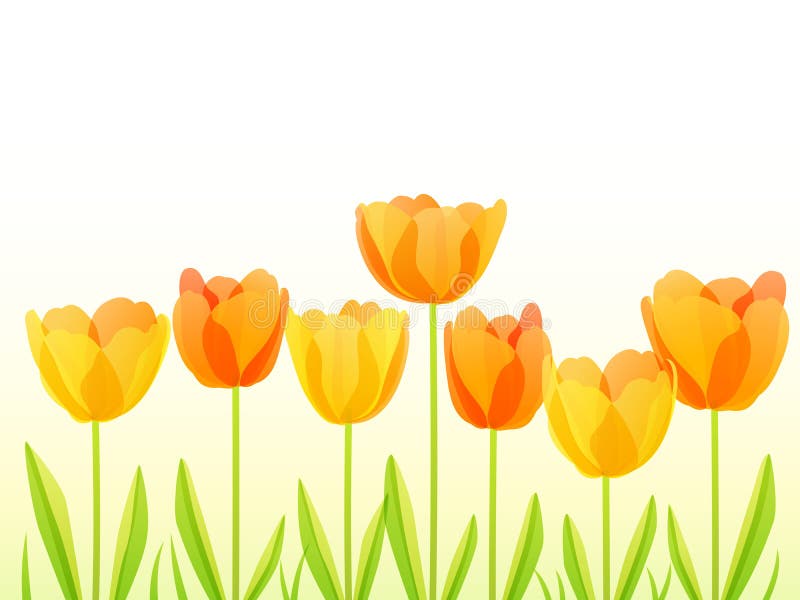 Tulip Row Stock Illustrations – 397 Tulip Row Stock Illustrations ...