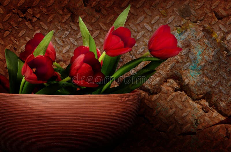 Mädchen mit Mohnblumen stockbild. Bild von draussen, familie - 32369243