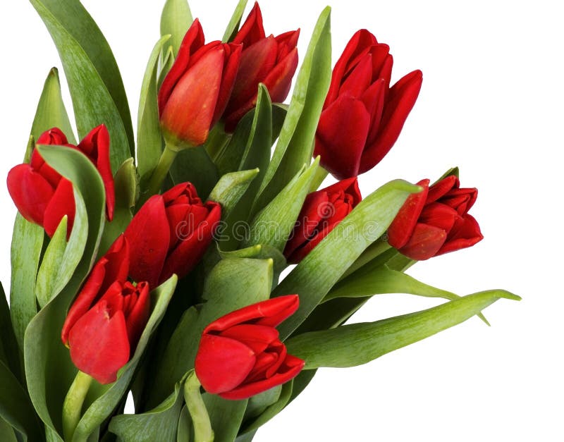 Iris828 - Photographer profile