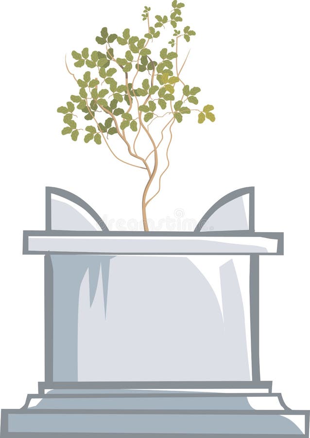 3+ Tulsi plant foundation Free Stock Photos - StockFreeImages