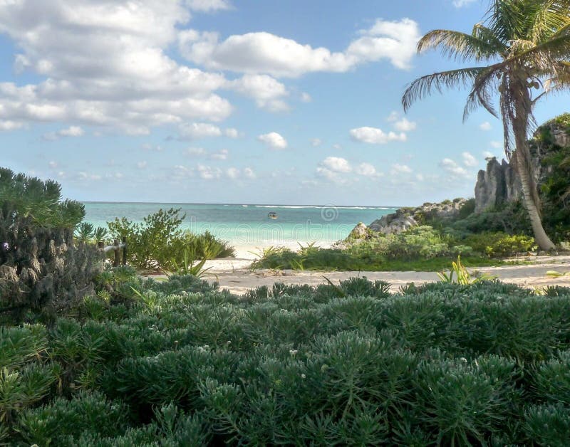 Tulum Beach stock photo. Image of mexico, tulum, trees - 91891382