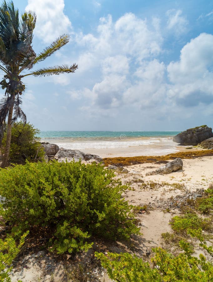 Tulum beach ocean view 2 stock photo. Image of tourism - 263657768