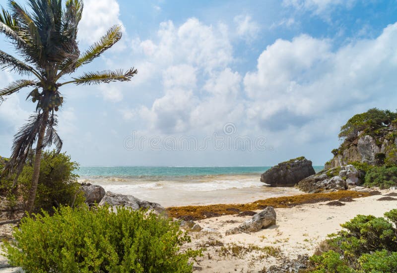 Tulum beach ocean view 3 stock photo. Image of rainforest - 263657780