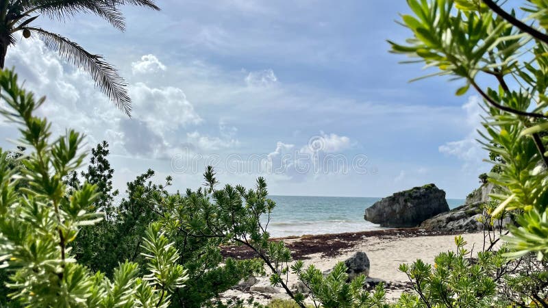 Tulum stock image. Image of view, tree, tropical, nature - 240016089