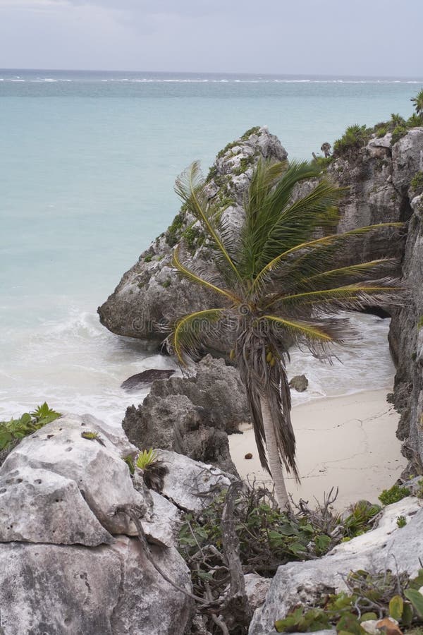 Tulum Caribbean Sea stock image. Image of barbados, mexico - 12397153