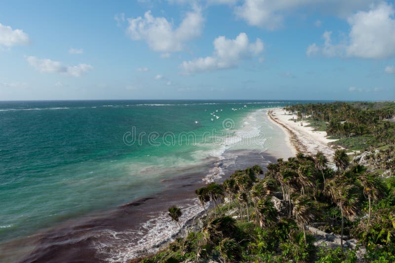 Tulum coast stock image. Image of tulum, caribbean, palms - 92680795