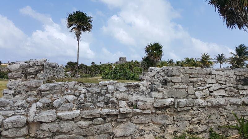 Tulum Mexico stock photo. Image of arecales, outcrop - 73787162