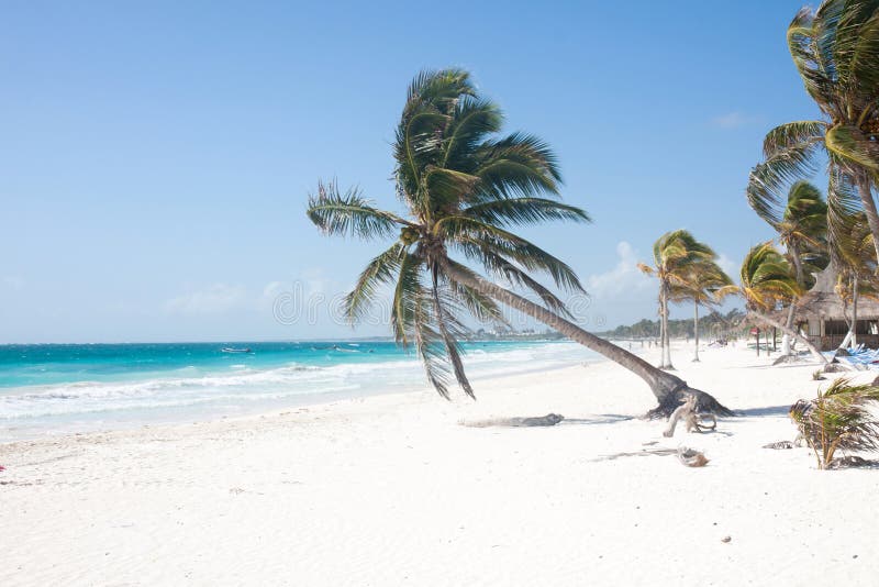 Tulum plaża, Meksyk zdjęcie stock. Obraz złożonej z biały - 39607190