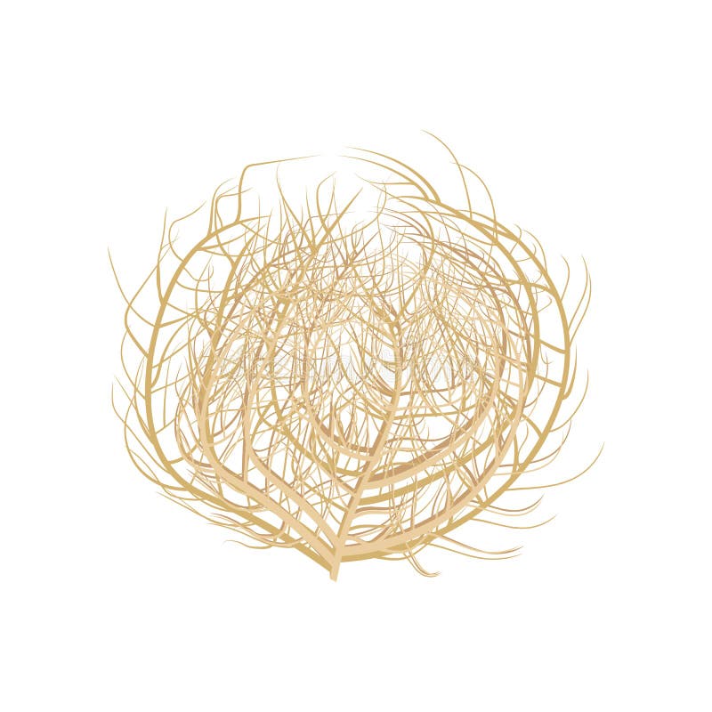 23+ Tumbleweed Free Stock Photos - StockFreeImages
