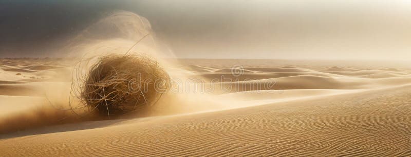 Tumbleweed Rolling Over the Desert Surface during a Sandstorm, with ...