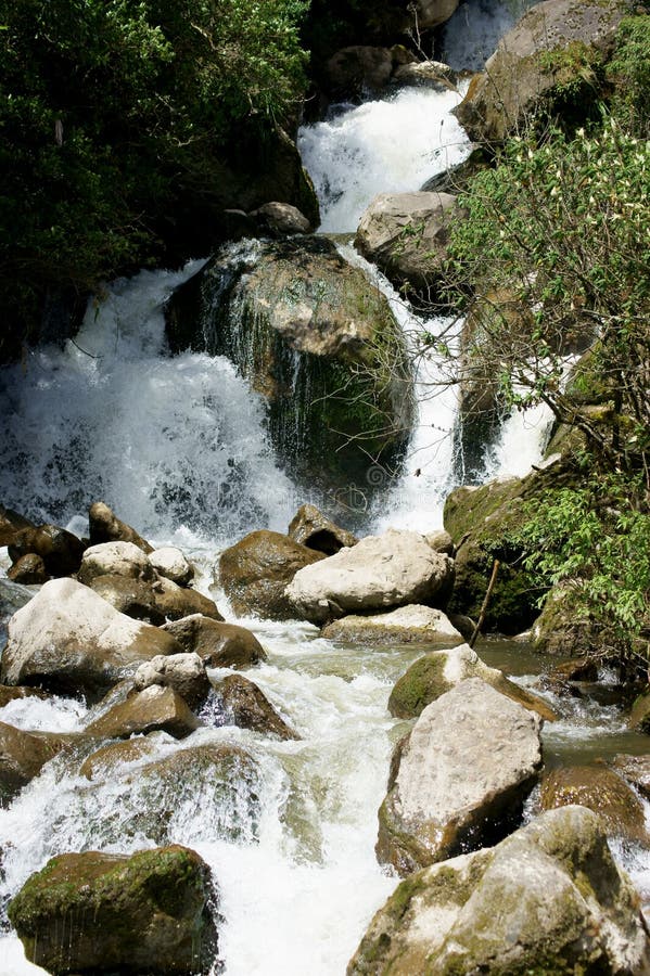 Tumbling Waterfall in Ecuador Stock Photo - Image of plant, green: 24032416