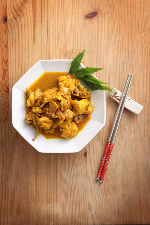 Tumeric chicken stock photo. Image of oriental, spice - 63822798
