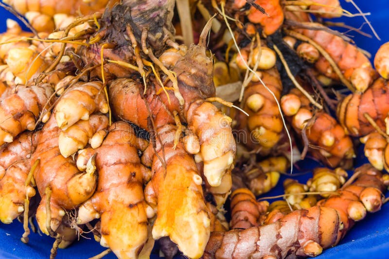 Tumeric Root on Display at the Market Stock Photo - Image of harvested ...