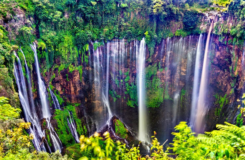 Wasserfall Coban Sewu Java Indonesia Stockfoto - Bild von wasser, laub ...