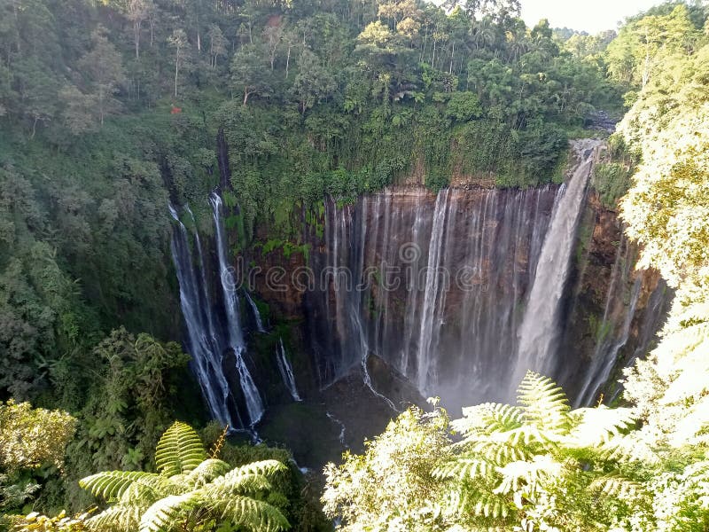 Tumpak Sewu Waterfall stock photo. Image of rapid, stream - 265836488