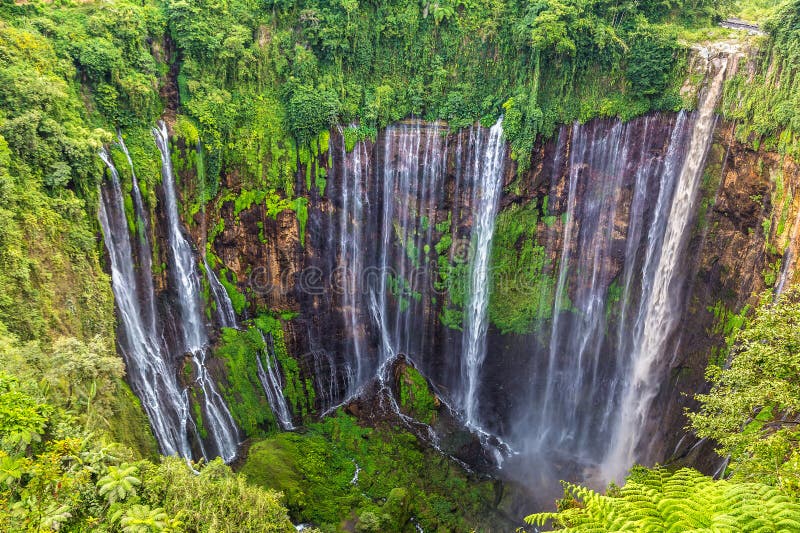Tumpak Sewu Waterfall, Java Stock Image - Image of tropic, park: 309563661