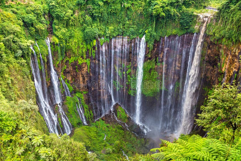 Tumpak Sewu Waterfall, Java Stock Image - Image of plant, viewpoint ...