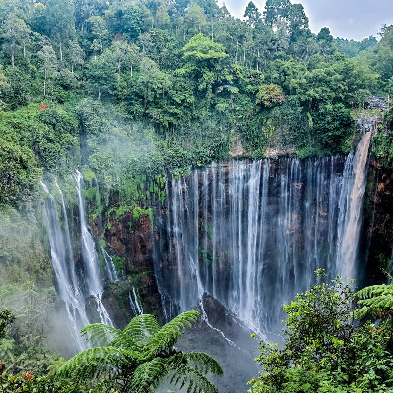 Tumpak Sewu Waterfall in Lumajang City, East Java Stock Image - Image of waterfall, java: 279526651