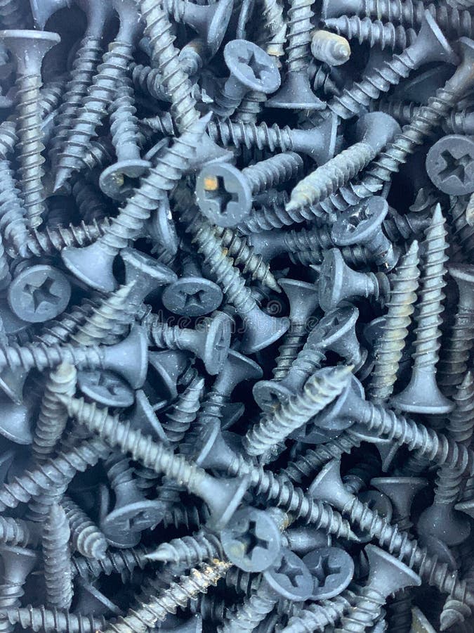 Close-Up of Black Drywall Screws with Fine Threads and Cross-Head ...
