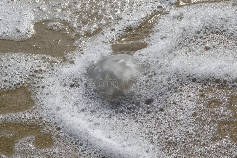 Tumultuous waves,blue sea stock photo. Image of europe - 47911828