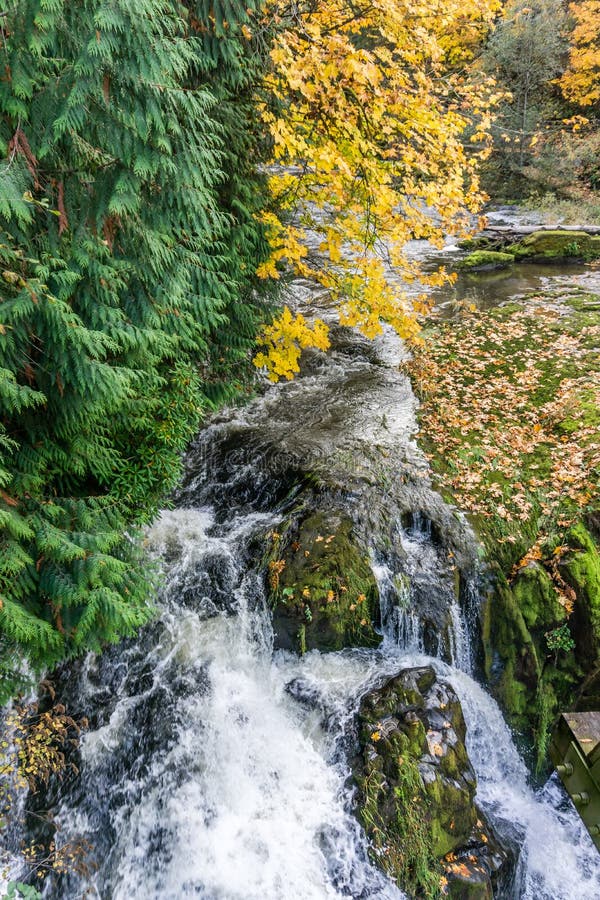 Lower Tumwater Falls 3 stock photo. Image of state, outdoors - 79929202