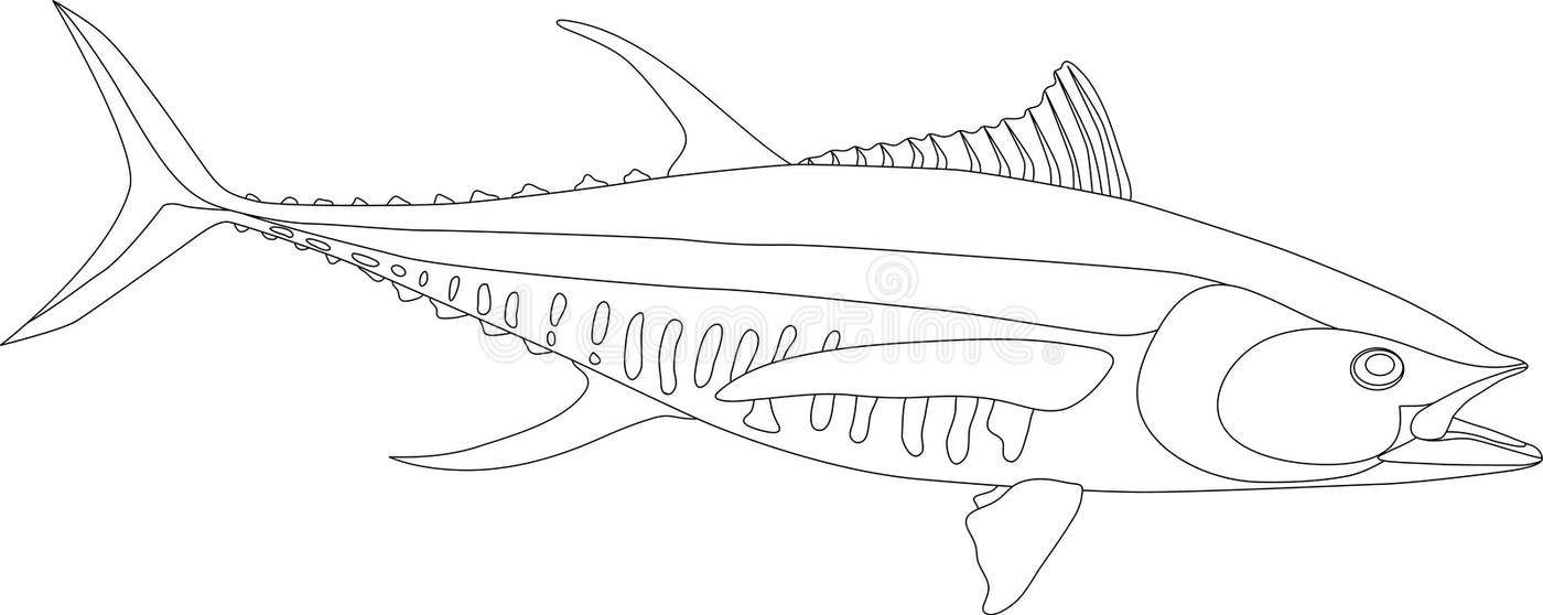 Tuna Graphic Stock Illustrations – 35,462 Tuna Graphic Stock ...