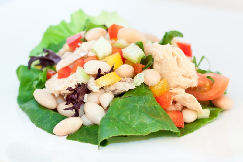 Tuna and Bean Salad stock photo. Image of healthy, delicous - 19147470