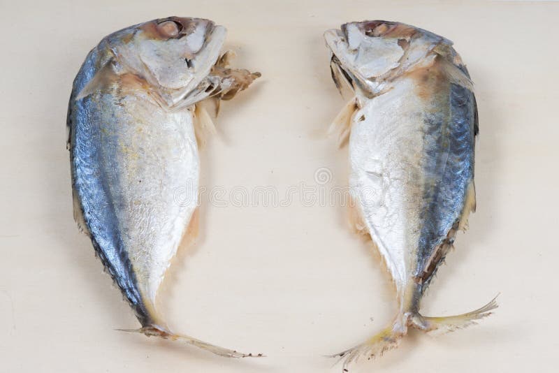 Tuna fish white background stock image. Image of nutrition - 91197227