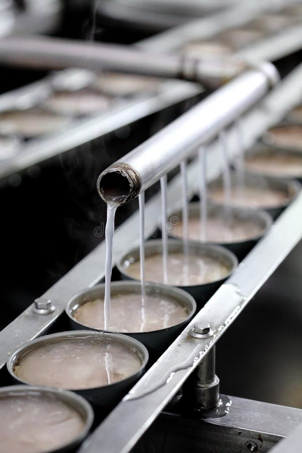 Tuna Fish in Can Processing in Factory Stock Image - Image of hawker ...