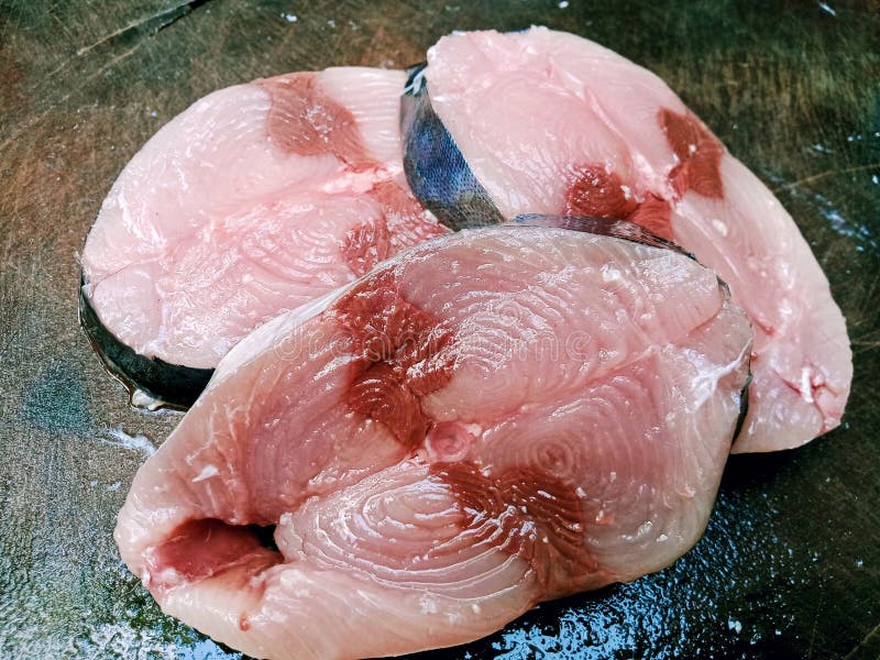 Tuna fish cutlet stock image. Image of fish, taste, food - 226673047