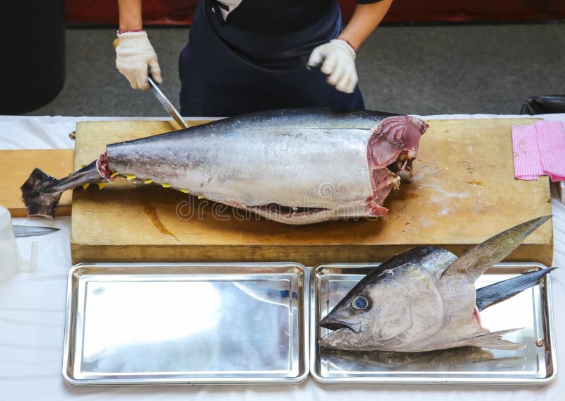 Tuna fish cutting stock image. Image of maguro, knife - 140668767 Tuna fish cutting stock image. Image of maguro, knife - 140668767