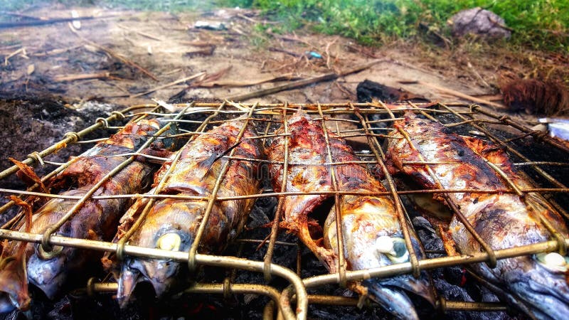 Tuna Fish Grilled Over a Fire Stock Photo - Image of burn, roast: 303395984