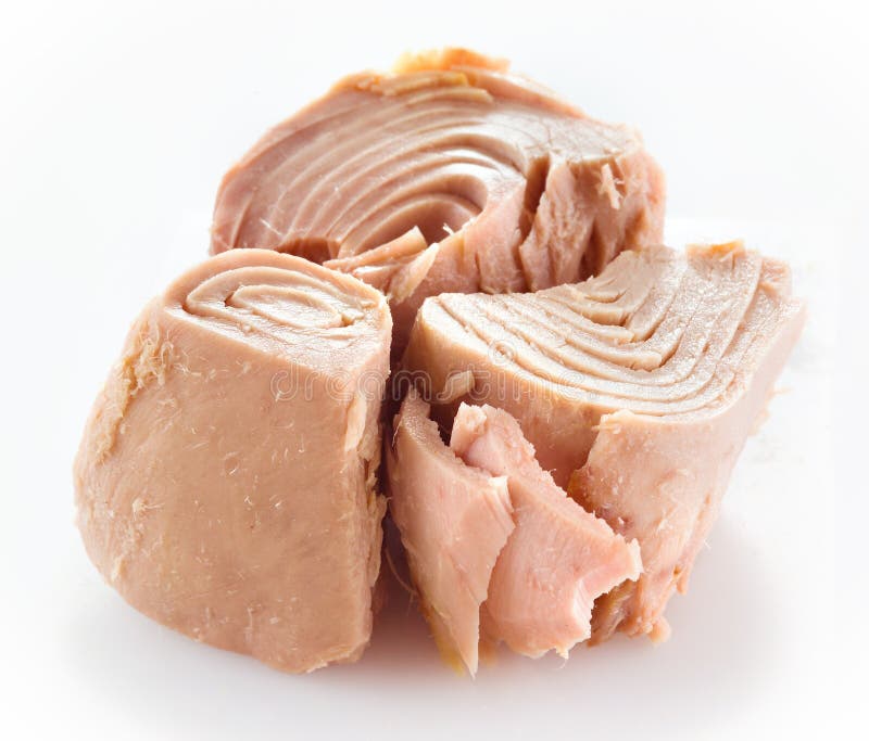 Tuna Fish Isolated on White Stock Photo - Image of fast, meat: 39586946