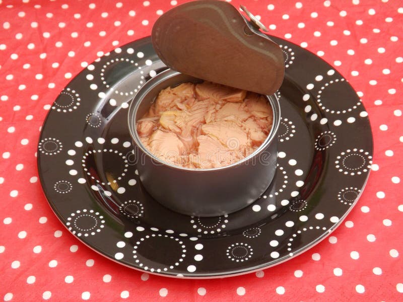 Tuna fish stock photo. Image of fish, food, tuna, seafood - 57116188 Tuna fish stock photo. Image of fish, food, tuna, seafood - 57116188