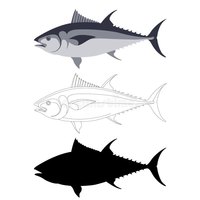 Tuna Fish, Vector Illustration, Flat Style, Side View Stock Vector ...