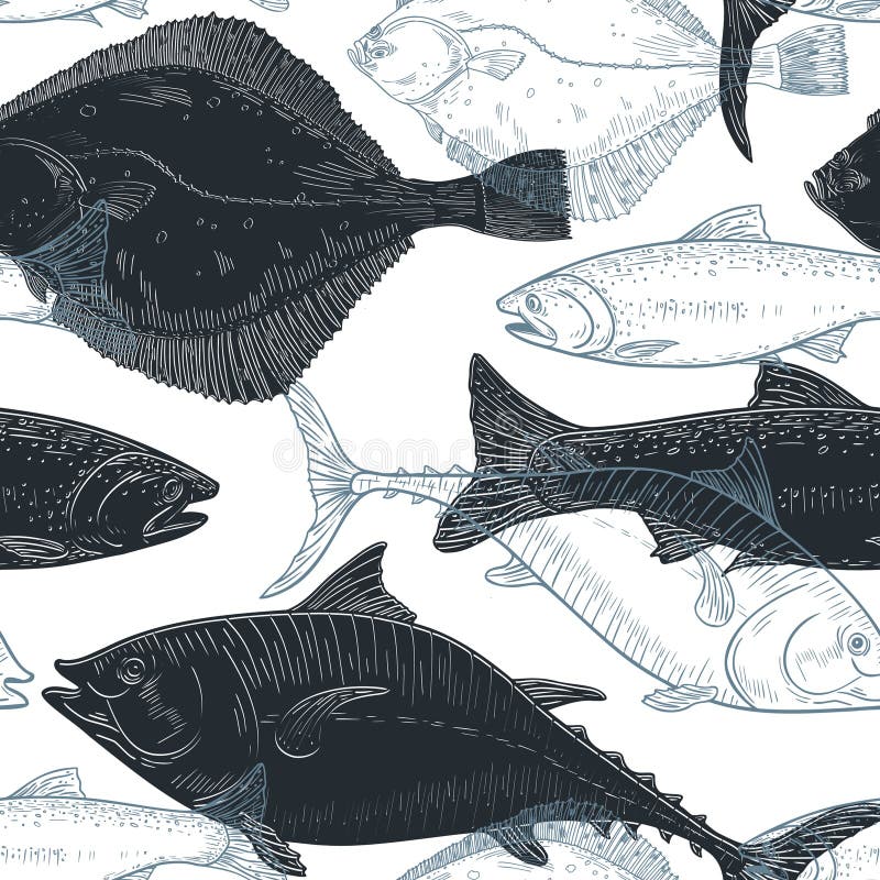 Tuna, Halibut, and Salmon Seamless Pattern in Black White Vector. Hand ...