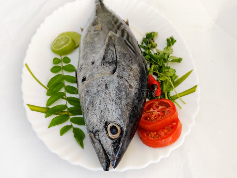 Tuna /Little Tuna Thunnus Thynnus Stock Image - Image of gourmet ...