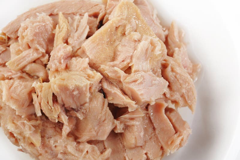 Tuna stock image. Image of tuna, macro, dish, diet, dinner - 47042495